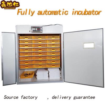 跨境货源全自动小鸡孵化器家用孵化率incubator小型智能孵蛋器