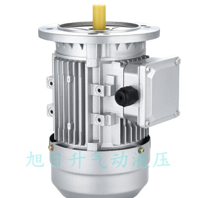 原厂Hongjie弘捷电机变频马达TAIZHOU BODAO MOTOR YE390-4 2.2KW