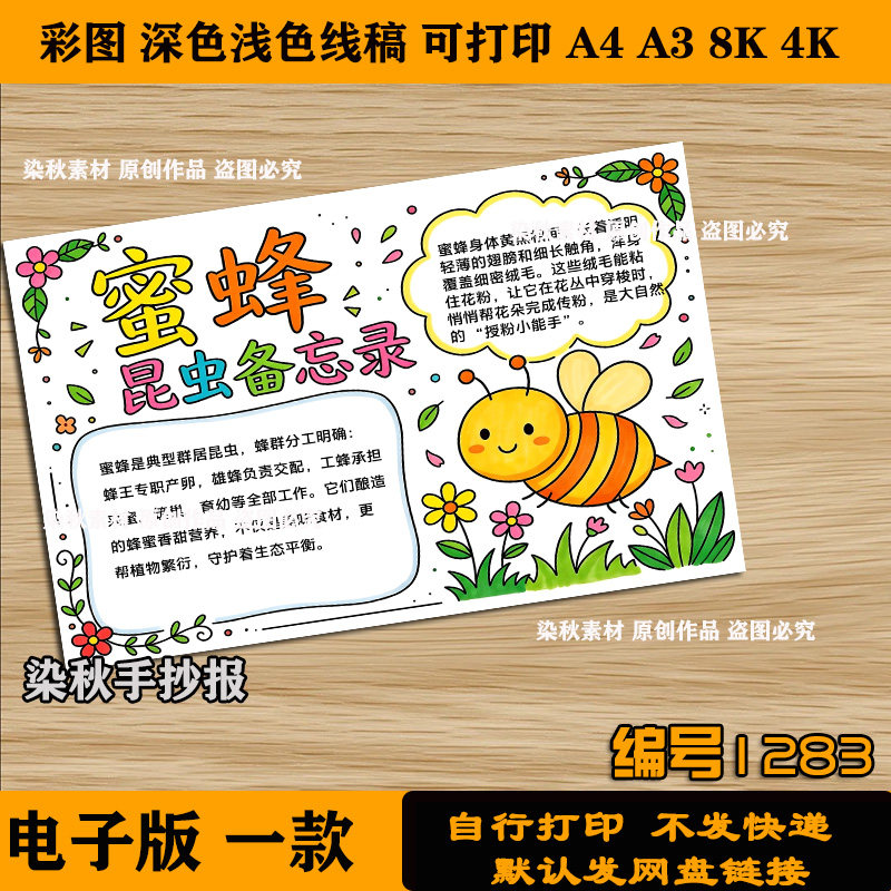 昆虫备忘录蜜蜂手抄报三年级昆虫外形习性记录卡线稿A4半成品a3