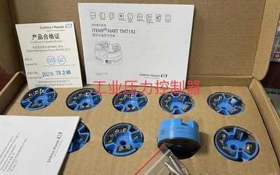 CYK10-J101连接线TMT182-ABAAA议价BBAAA模块温度变送器E+H传感器