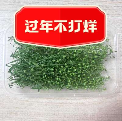 新鲜绿铃草水晶草西餐酒店日料