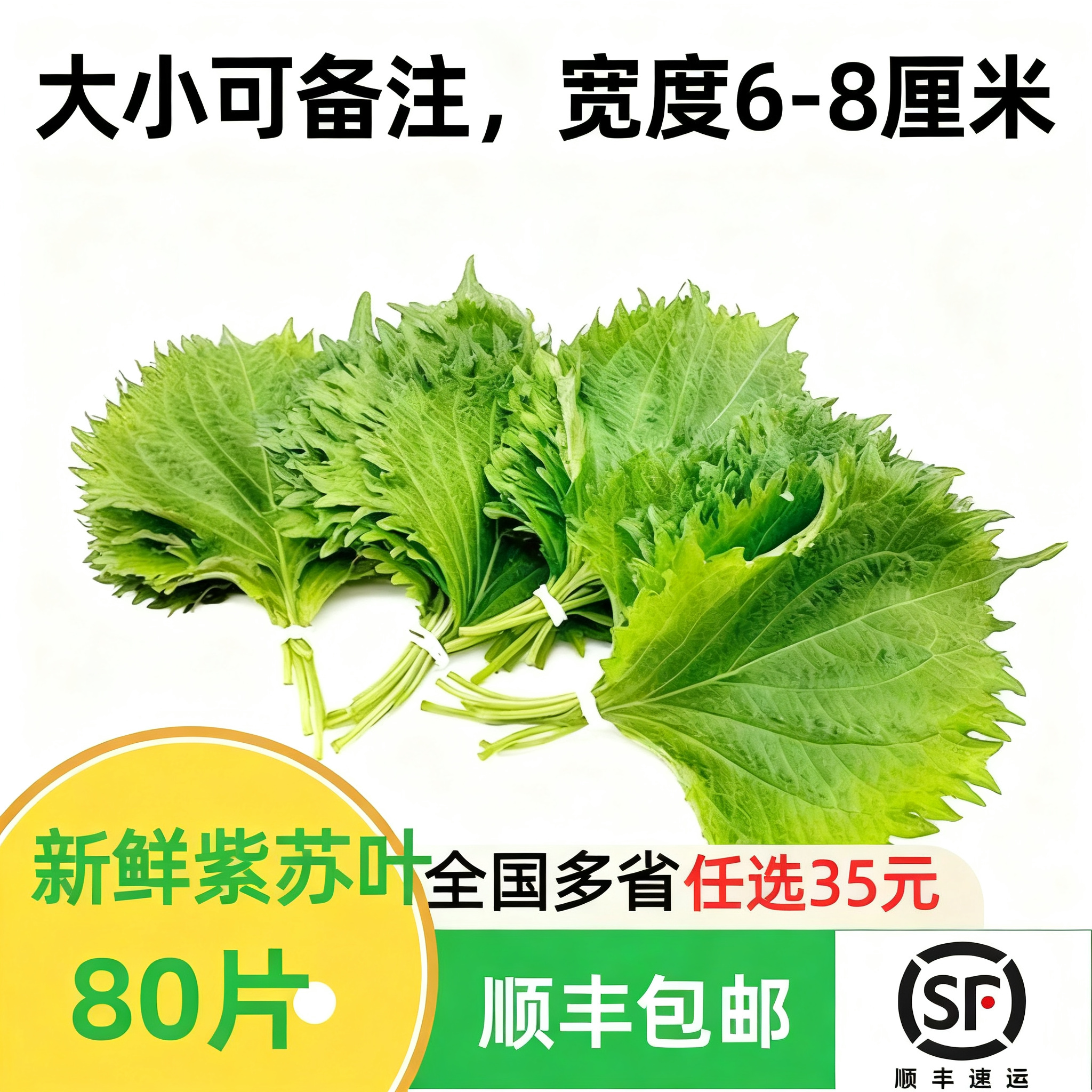 紫苏叶新鲜苏子叶80片大叶韩国烧烤包饭日本寿司料理刺身西餐摆盘