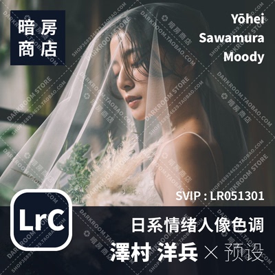 泽村洋兵 日系情绪人像 暗房商店 Yōhei Sawamura LR/ACR预设