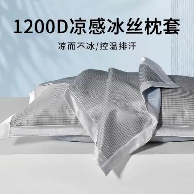 凉枕头套1200D夏季冰丝枕套一对装家用单个冰丝枕套48cmx74cm枕