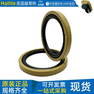 英国赫莱特H54四氟格莱圈活塞封