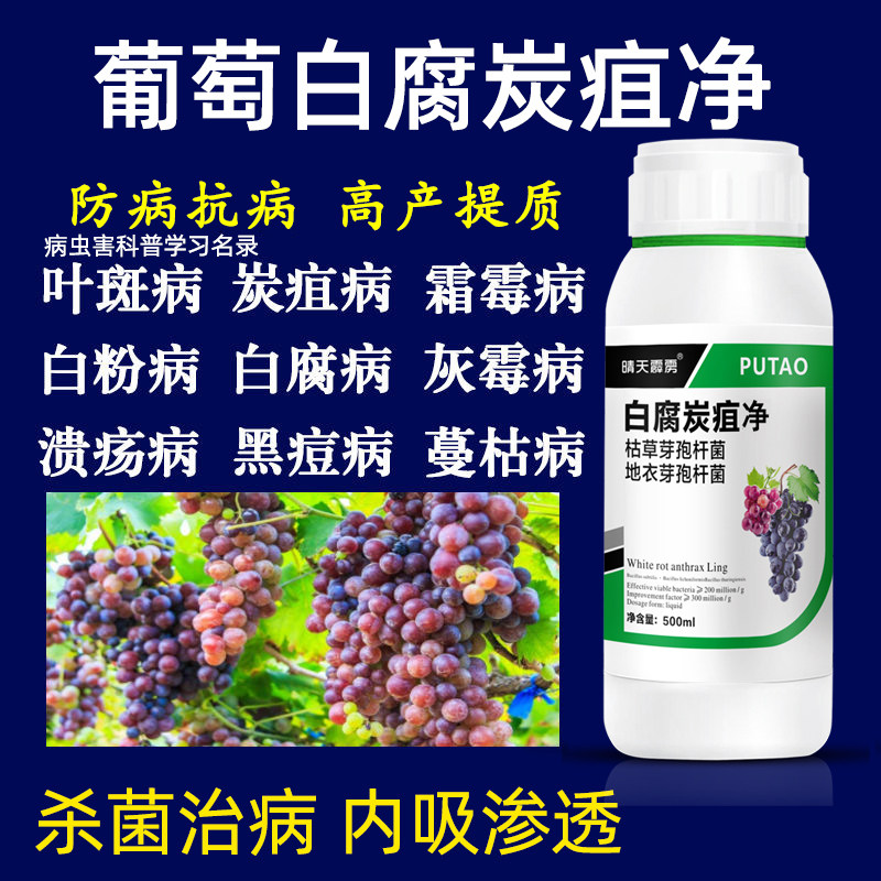 葡萄病白腐炭疽净葡萄通用杀菌剂炭疽病霜霉病白粉病农用正品