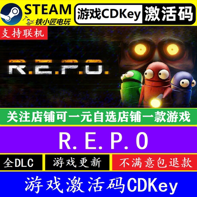 steam正版repo激活码CDKEY