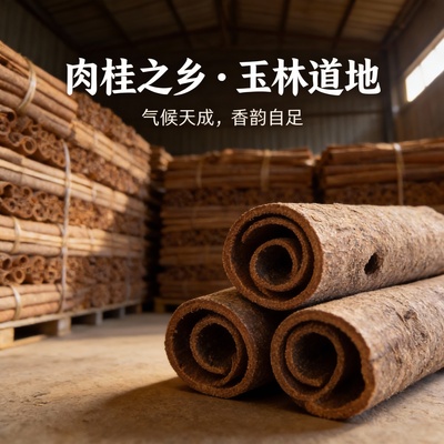 广西玉林特产桂皮香料调料包闹