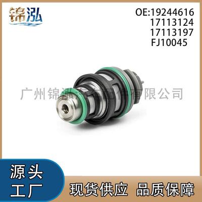 19244616 FJ10045 17113124 17113197适用于欧雪佛兰别克喷油嘴