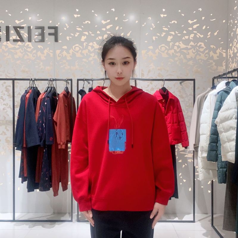 FEIZI/菲姿女士时尚简约针织套头衫F3A118