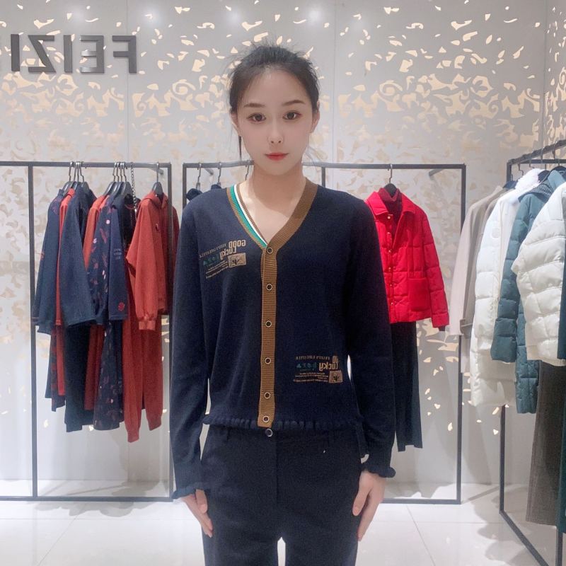 FEIZI/菲姿女士时尚简约羊毛针织衫F3A806