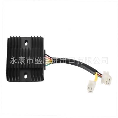 GOOFIT 电压调节器整流器适配250cc 260cc螺旋CN250临海VOG Roket