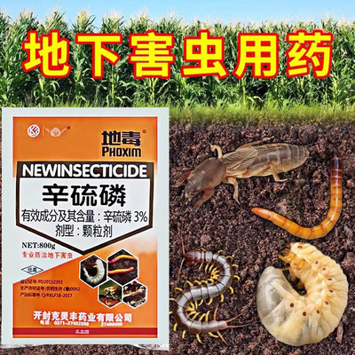 辛硫磷颗粒土壤杀虫剂地下害虫农药粒剂蝼蛄地虫灵地下害虫专用