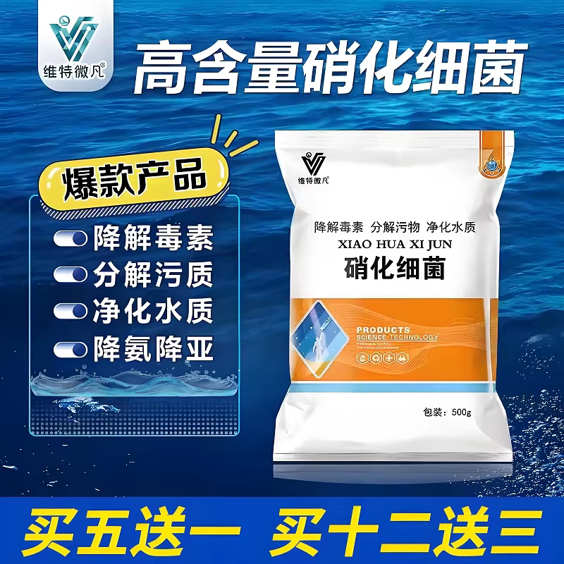 硝化细菌水产养殖生物降解氨氮亚硝酸盐分解粪便净化水质底改