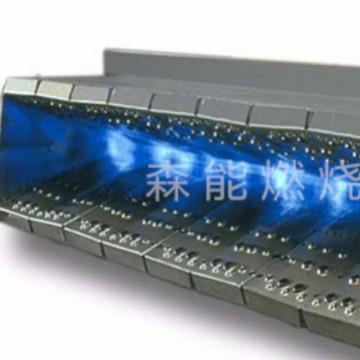 maxon麦克森APX线形燃气