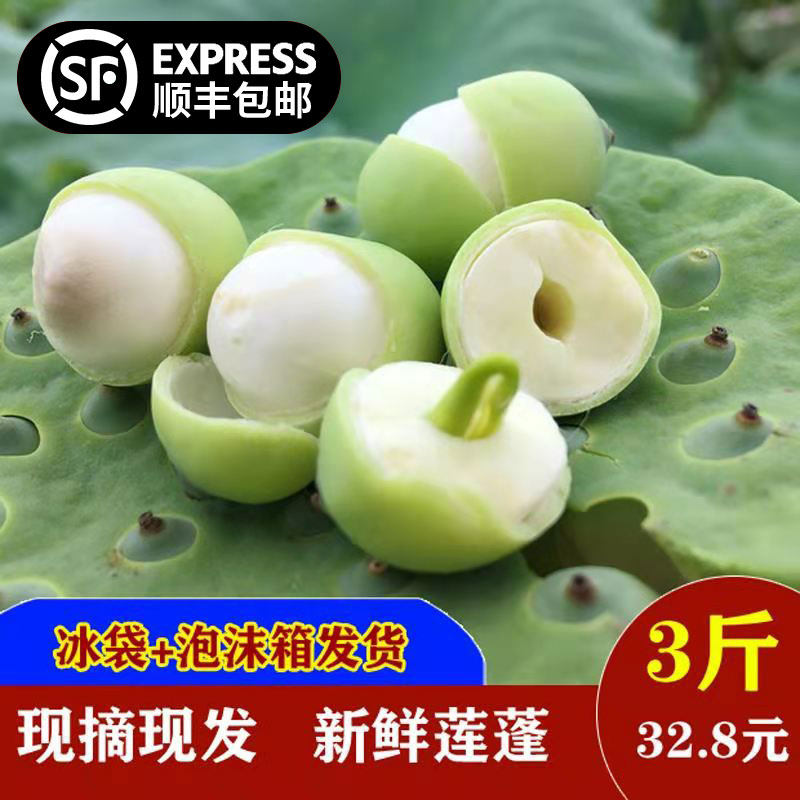 新鲜莲蓬湖北洪湖特产生吃鲜嫩莲子即食蔬菜水果现摘现发顺丰包邮
