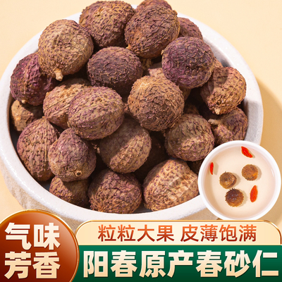 【头茬大果】广东阳春春砂仁500g