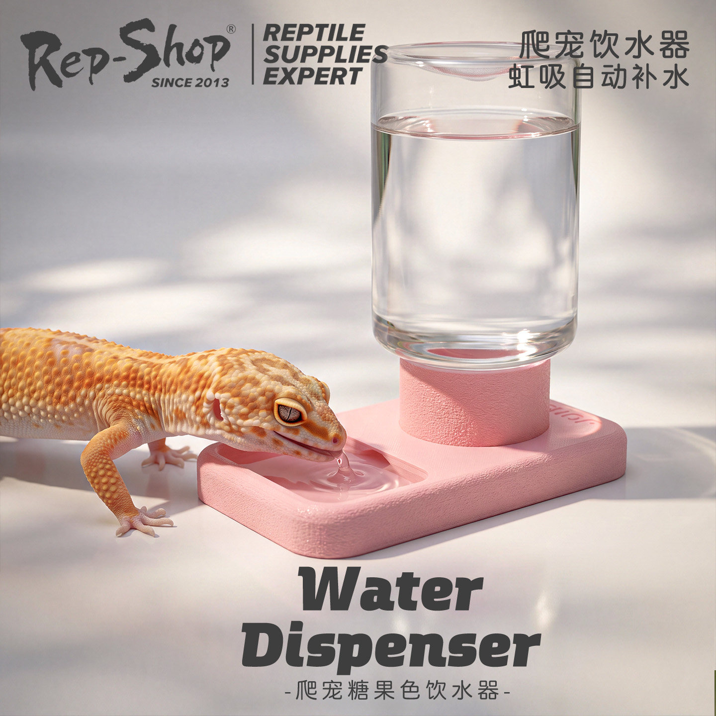 爬宠懒人水盆豹纹守宫自动饮水器睫角蜥蜴蛇小型爬虫饮水碗造景