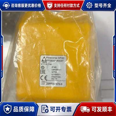 议价TER Finecorsa GF4C偏航计数器可维修