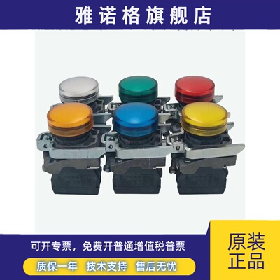 进口施耐德指示灯XB4BVM1 XB4BVM3 XB4BVM4 XB4BVM5 XB4BVM6 220V