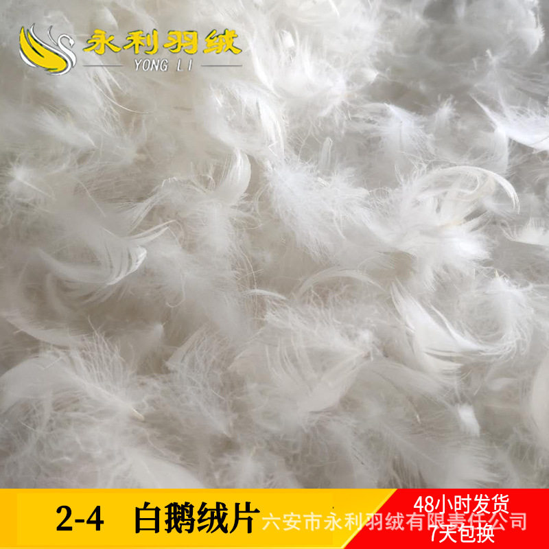 羽毛羽绒用于沙发枕芯床垫无异味清洁高蓬松五厢2--4水洗白鹅毛片