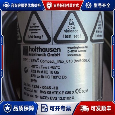 议价holthausen振动传感器 ESW-Compact II可维修