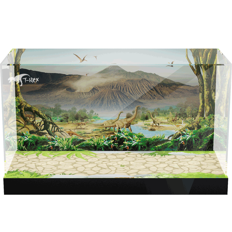 lyb展示盒适用乐高31058创意百变