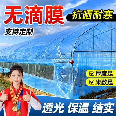 大棚膜黑白无滴po长寿加厚