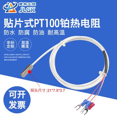 粘贴式pt100热电阻铂热电阻