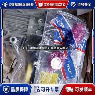 议价SKF油泵MF2/S4/KW5-N1402-CE可维修
