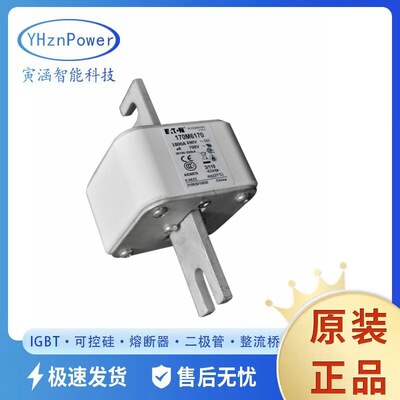 全新熔断器/保险丝170M6019 170M6069 170M6169 170M6219工业