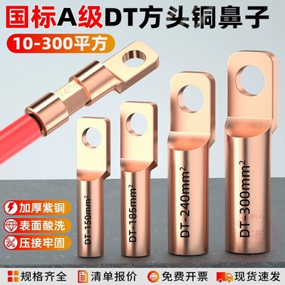 国标DTF方头铜鼻子接线端子断路器空开堵油铜接头10-300平方线耳