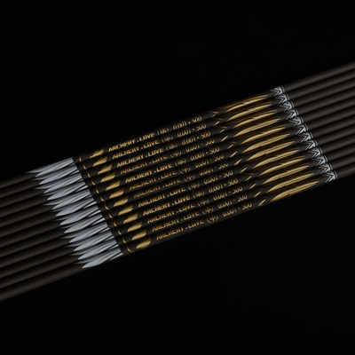 专业反曲复合美猎高碳射箭器材