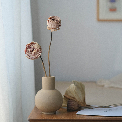 天然玫瑰荷花干花侘寂风真花装饰