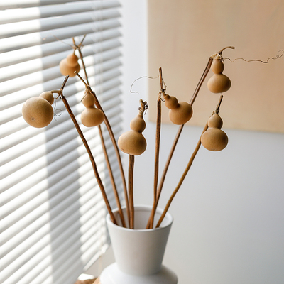 招财禅意葫芦天然干花