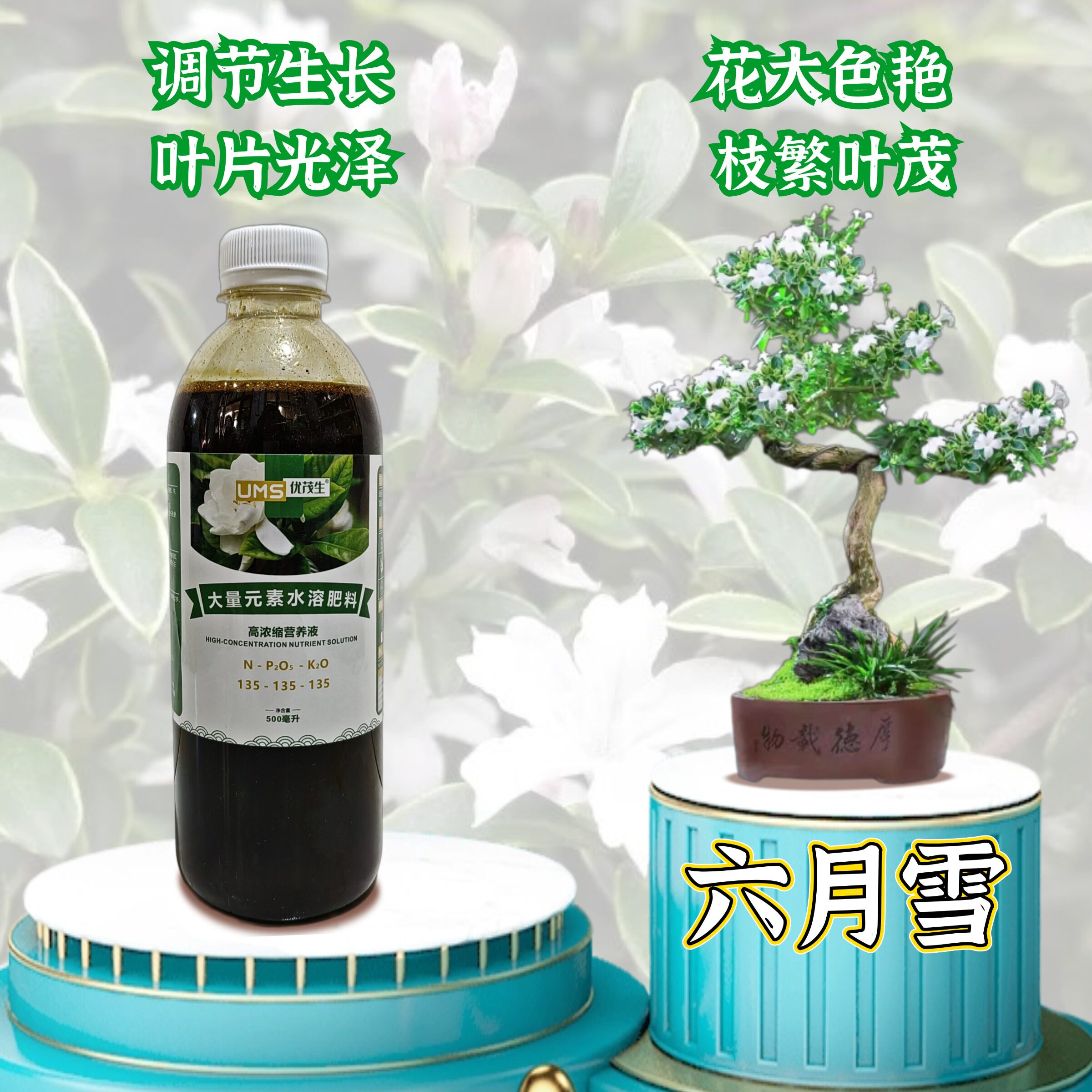 六月雪营养液盆景老桩重瓣红花精品盆栽植物专用大量元素水溶肥料