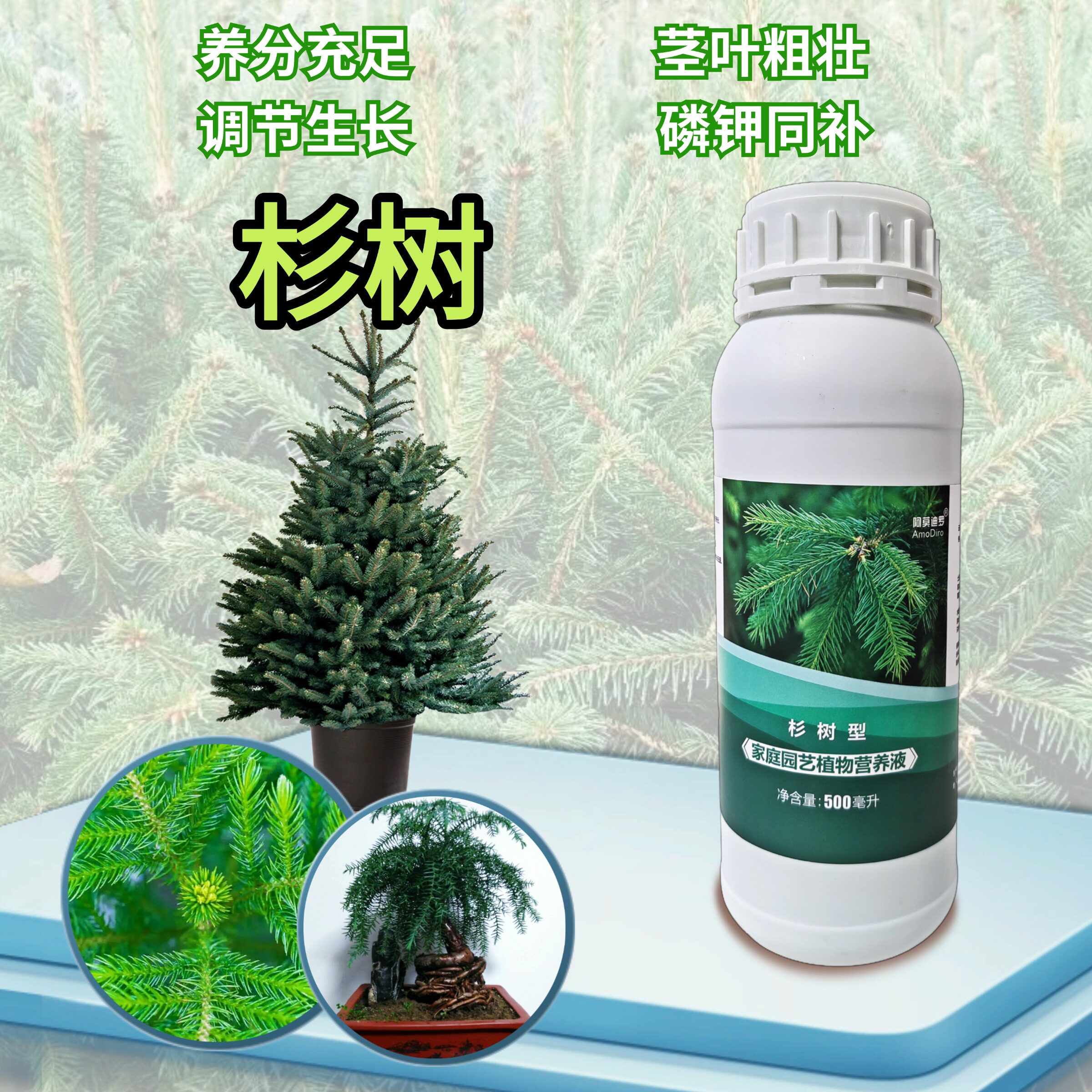 杉树云杉红豆杉南洋杉水杉柳杉银杉澳洲杉盆栽地栽专用营养液