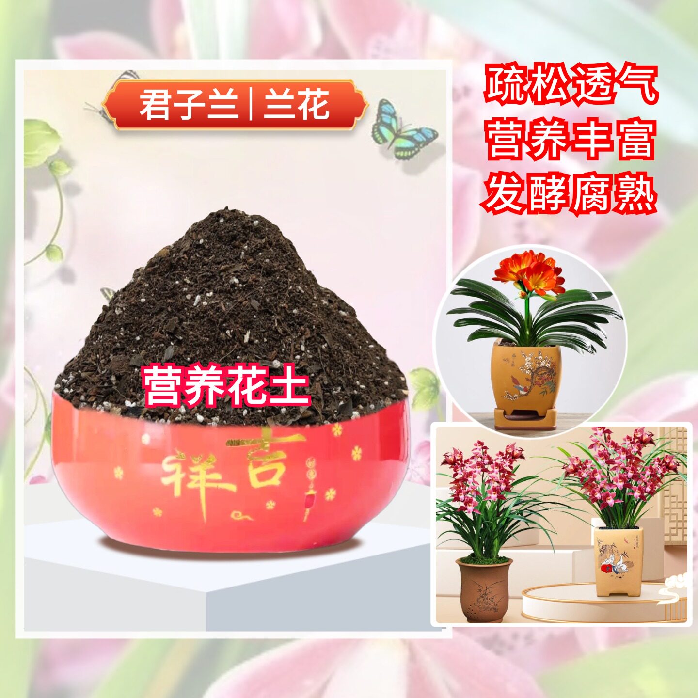 兰花君子兰细叶大叶寒兰万代兰文心兰营养花土盆栽专用育苗种植土