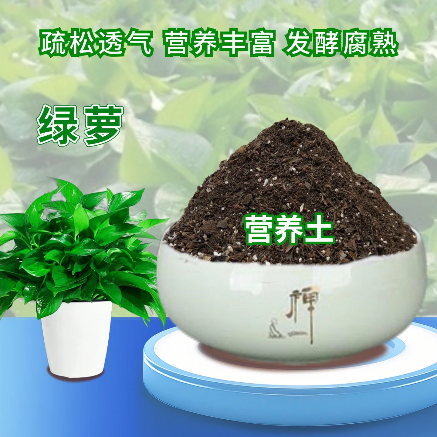 绿萝绿罗兰黄金葛营养花土疏松肥沃室内盆栽绿植物专用育苗种植土