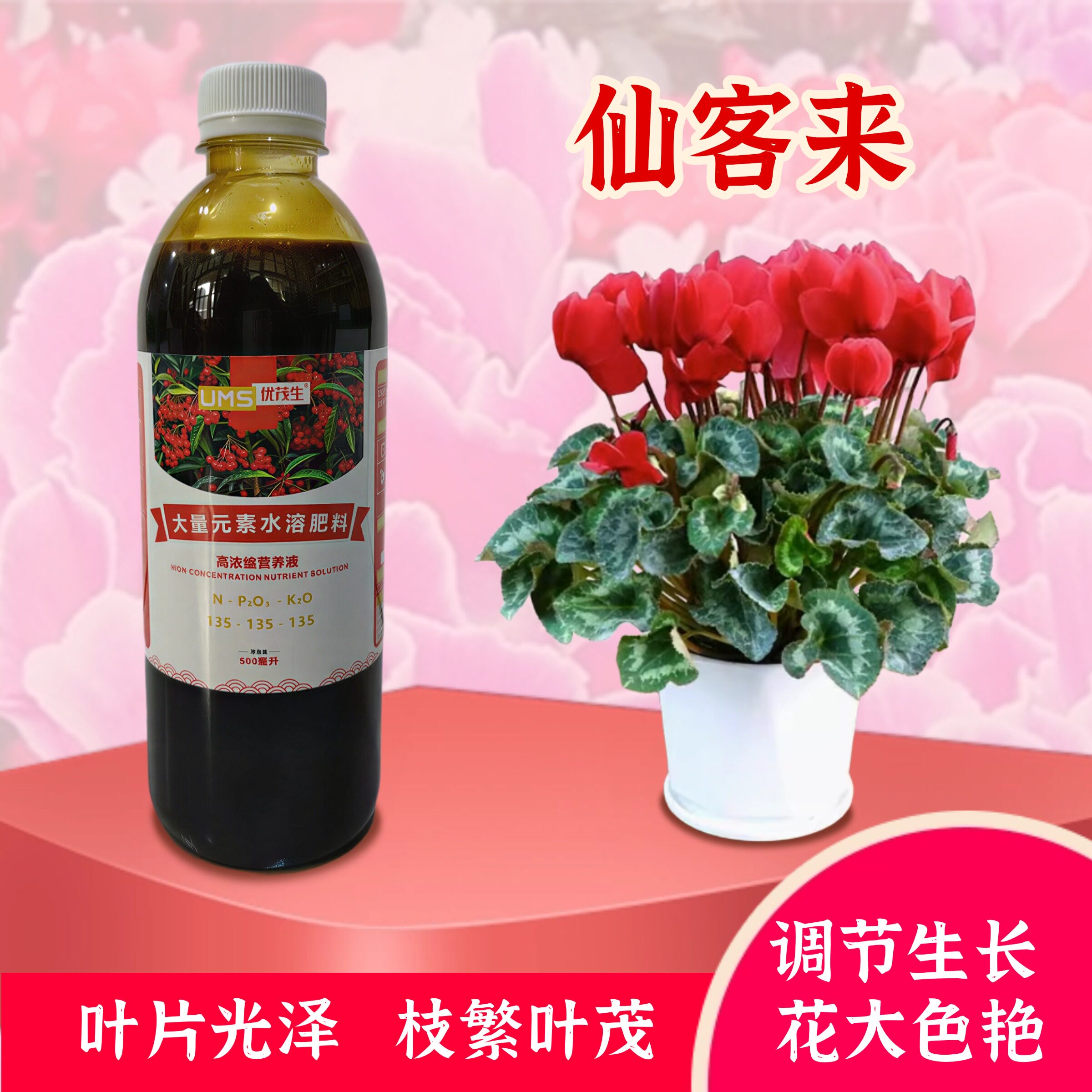 仙客来仙鹤来营养液室内兔耳花盆栽植物专用大量元素水溶肥料