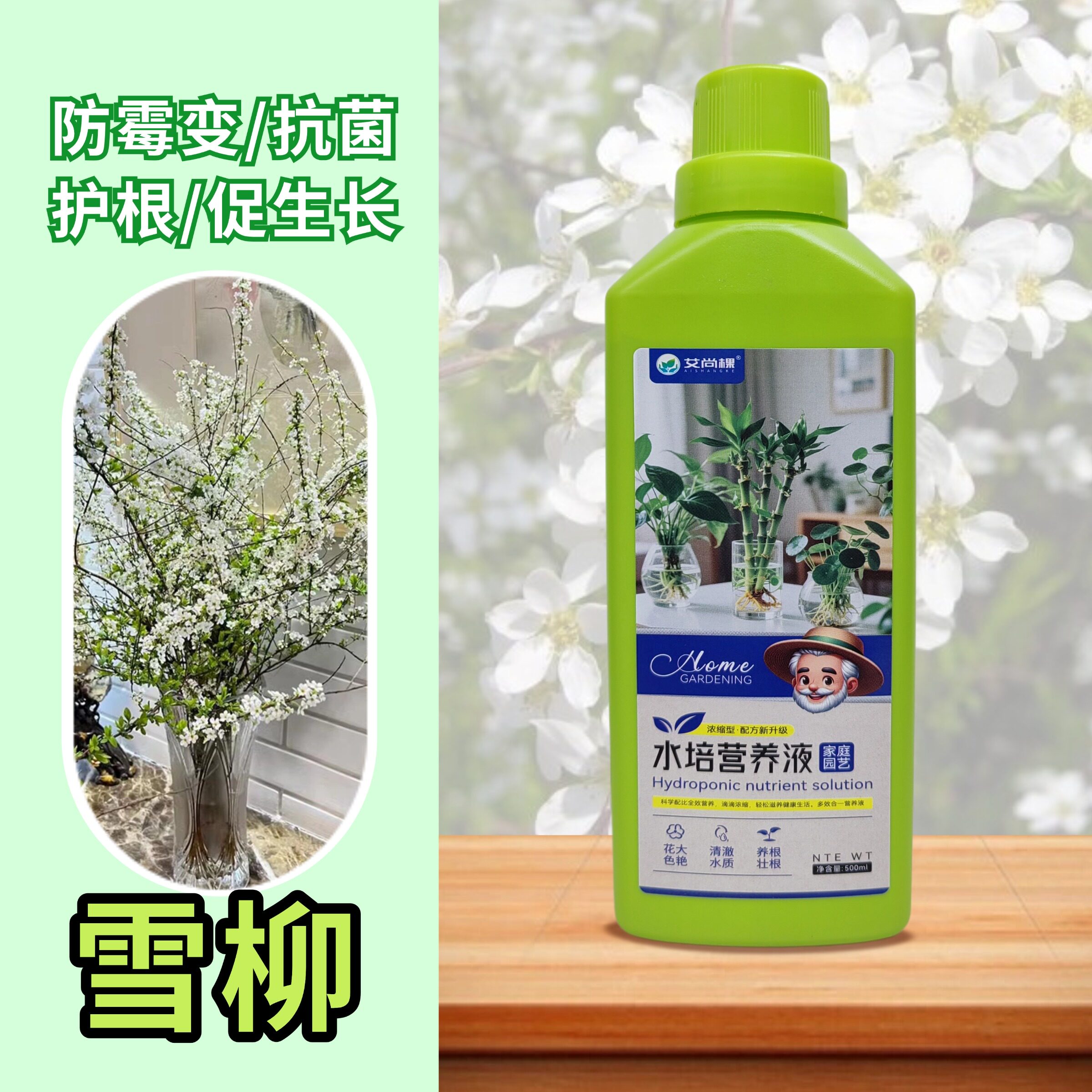 雪柳银柳真花鲜枝龙柳金柳干支枝条盆栽水培专用营养液