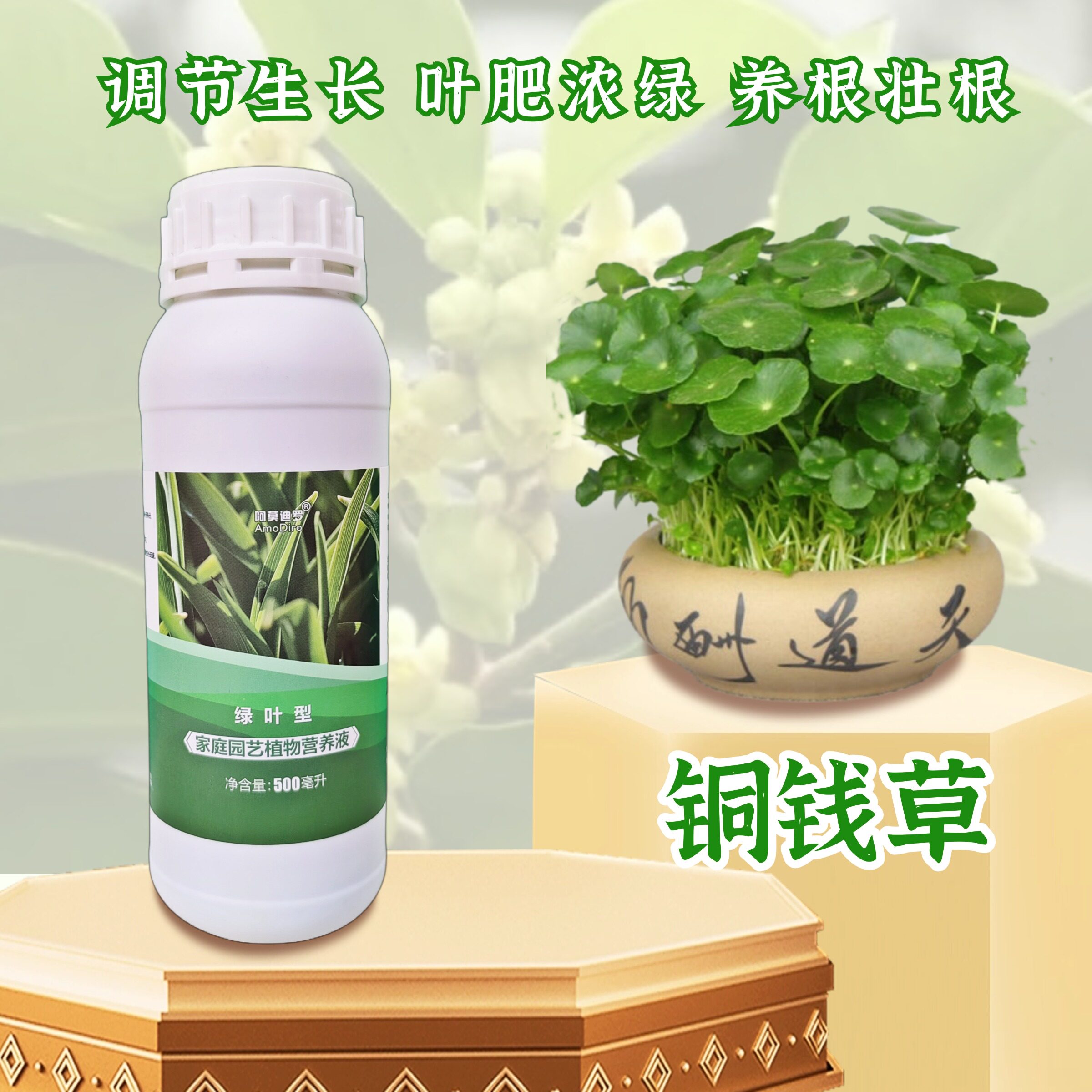 铜钱草金钱草营养液室内专用盆栽水培绿植物浓缩液体花卉肥料