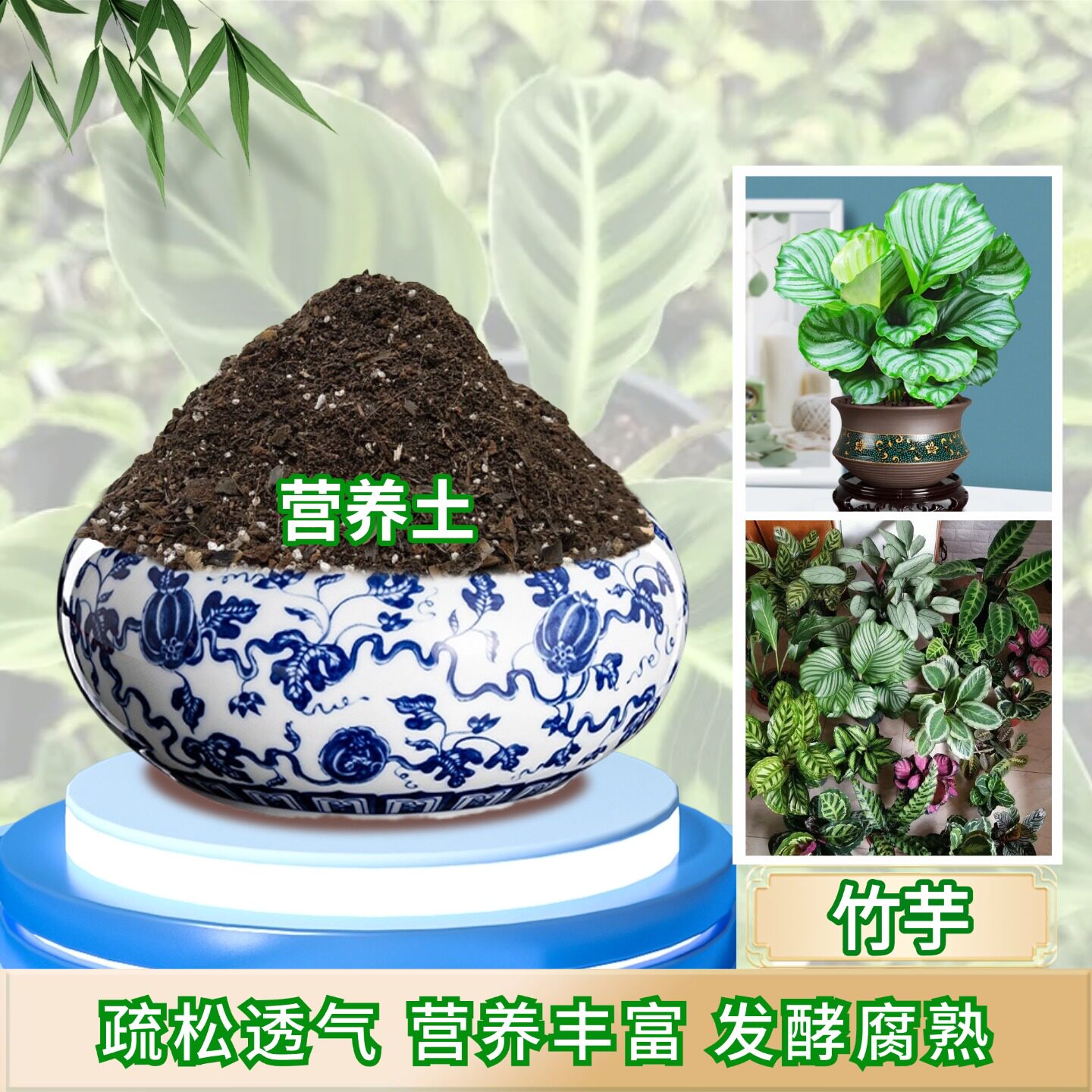 飞羽竹芋营养花土青苹果猫眼油画彩虹紫背波浪植物专用盆栽种植土
