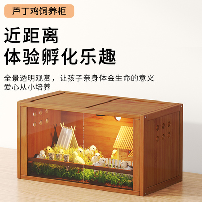 毛兔家芦丁鸡饲养箱宠物保温育雏箱D爬宠守宫仓鼠饲养柜透明门鸟