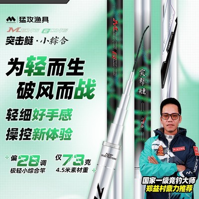 【致轻小综合】猛攻突击鲢小综合4H钓鱼竿台钓竿超轻硬翘嘴鲫鲤鱼