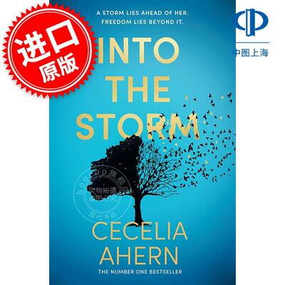 现货 进入风暴 Cecelia Ahern 英文原版 Into the Storm 外国文学小说