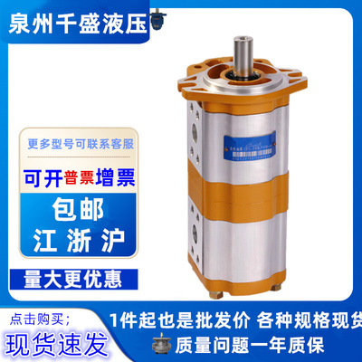 长源款双联齿轮泵CBTL-E430/F425/F420/F416/F410-AFP/AF?/AFH