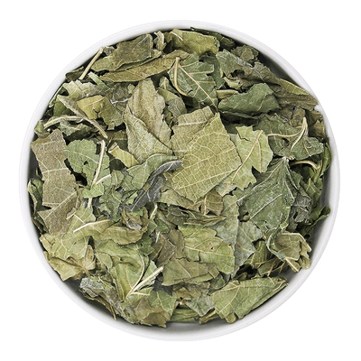 桑叶干50-500克包邮中药材新货