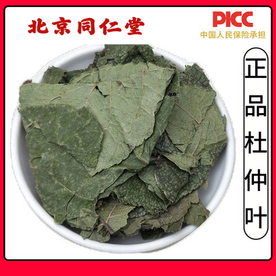 同仁堂野生杜仲叶中药材500g精选高品质新货无硫杜仲嫩叶茶芽杜仲