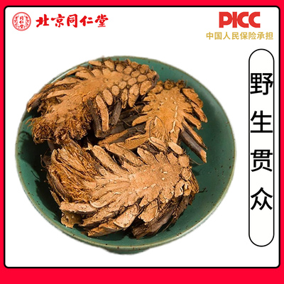 同仁堂野生贯众中药材500g管仲干片四川野生管仲绵马贯众片泡茶